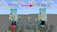 用命名牌给其他玩家改名, 他自己还不知道, 教你如何整蛊自己朋友