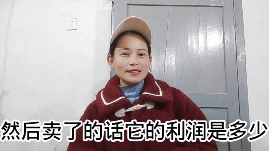 养一头两百斤的猪:它的饲养成本是多少 纯利润是多少给大家算一算