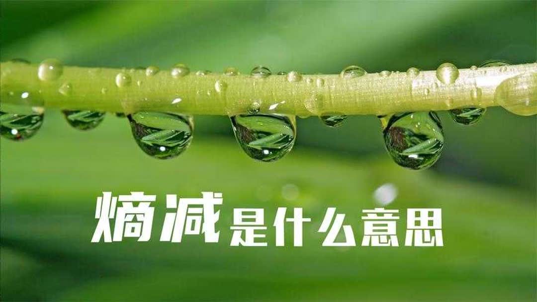 熵减是什么意思?熵到底又是什么?
