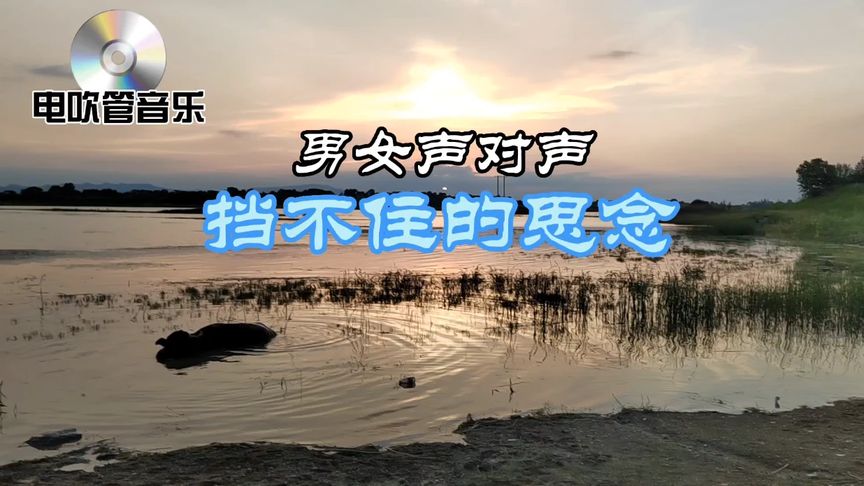 一首情歌对唱《挡不住的思念》,电吹管吹奏@京山老杨乐在其中