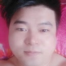 森林背后的秘密 