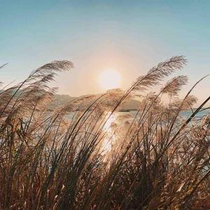 那些年我们追过的神剧 