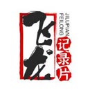 飞龙纪录片 