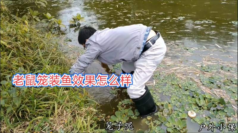 小伙第一次用老鼠笼做捕鱼陷阱,猜猜看能不能成功