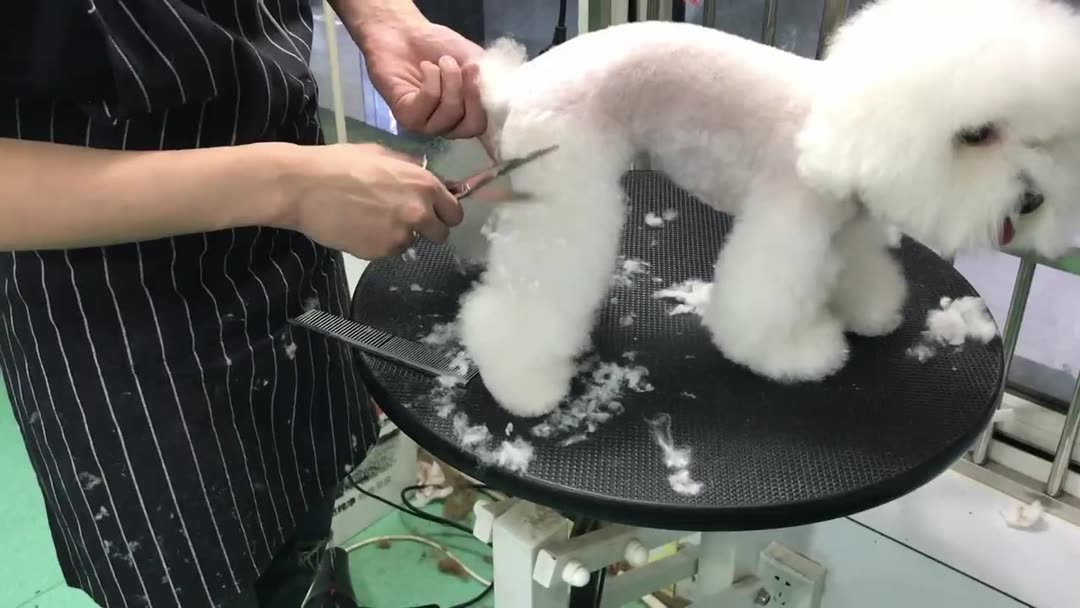 宠物美容视频,宠物美容教程,狗狗修剪视频(一)