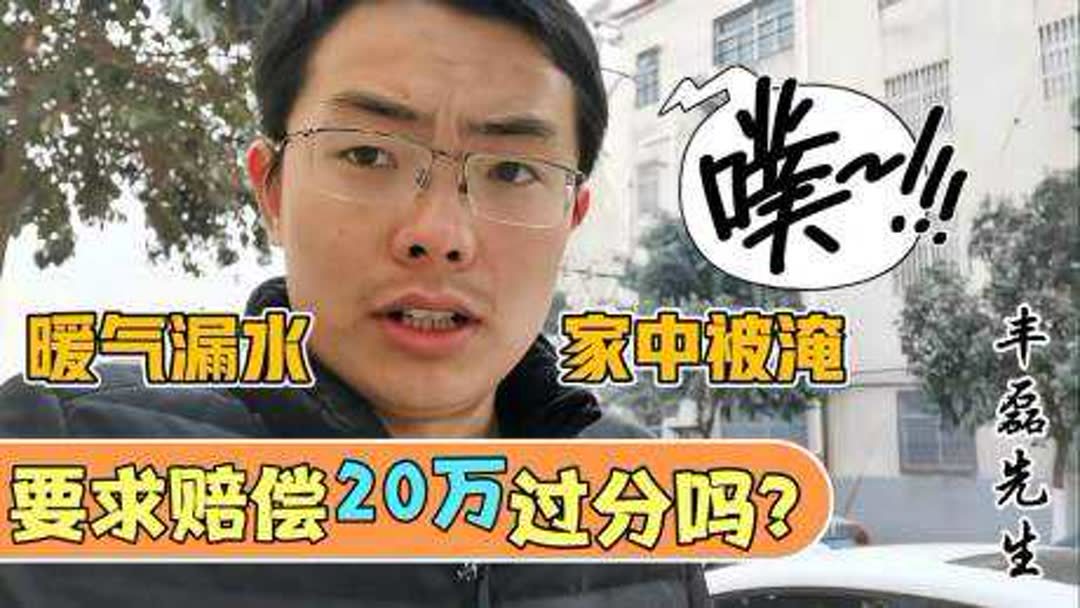 家里暖气片漏水,导致木地板被泡,索要20万赔偿过分吗?