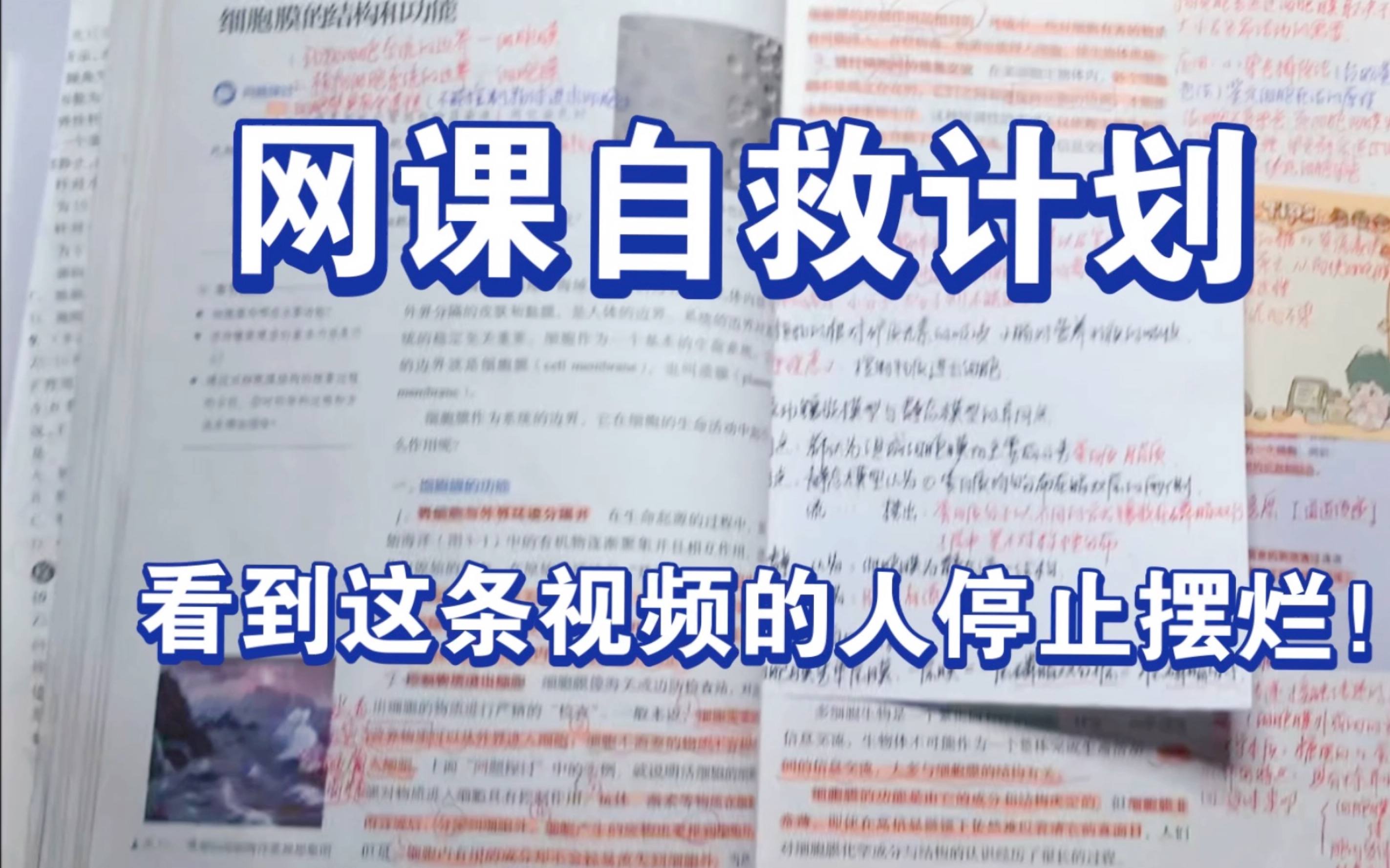 网课自救计划/看到这条视频的人停止摆烂/高倍速/study with me