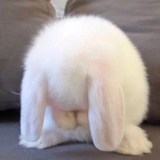 优酷用户1593785564706260 