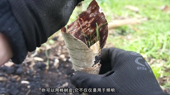 你知道白桦树皮可以制作一个野外滤水器吗?