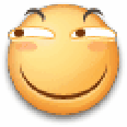Mr丶金 