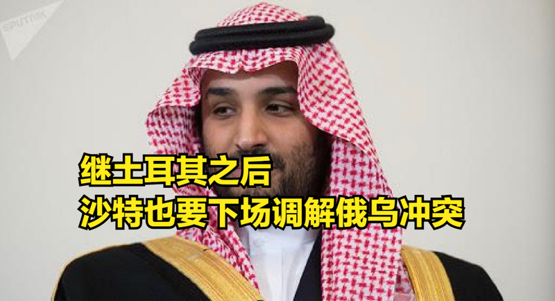 继土耳其之后,沙特也要下场调解俄乌冲突:已经做好准备