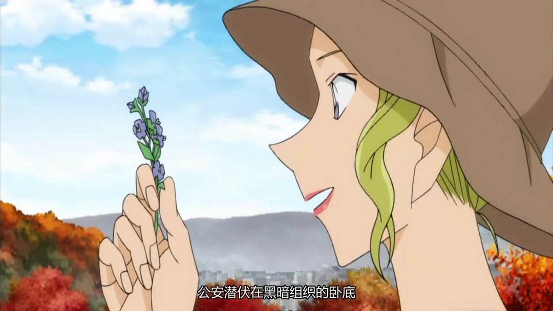 名侦探柯南十大人气角色,柯南第四,毛利兰第二,第一是她