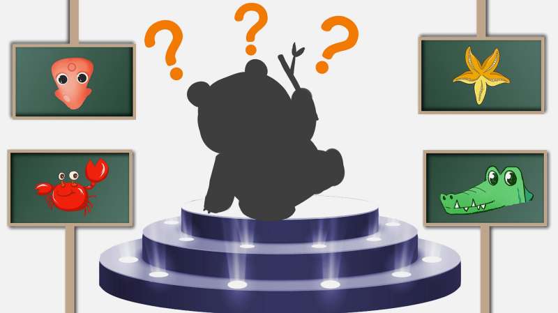 舞台上哪个小动物的表演最受欢迎呢?你答对了吗?