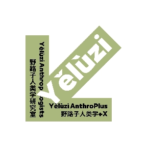 野路子人类学研究室 