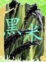 黑米 