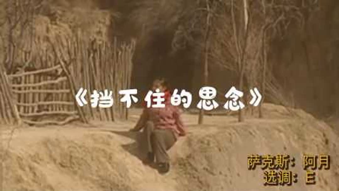 陕北情歌《挡不住的思念》,萨克斯演奏,曲调悠扬,好听