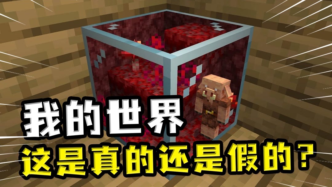 我的世界:装着下界的方块,没有传送区域的传送门,是真还是假?