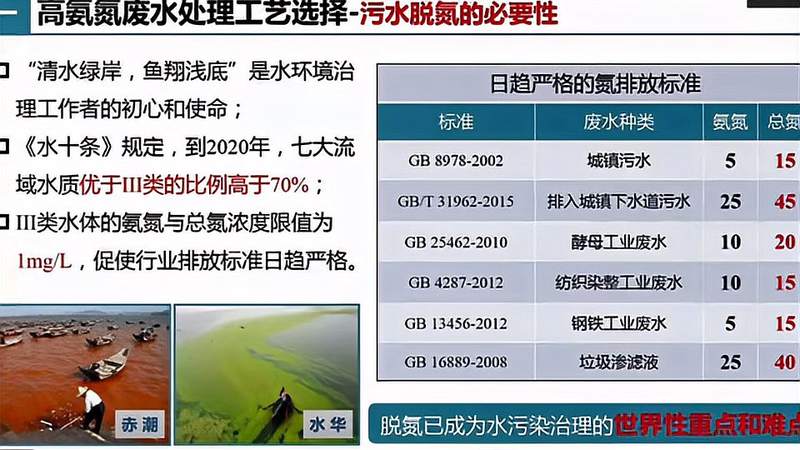 氨氮去除菌剂-在污水处理中的重要性