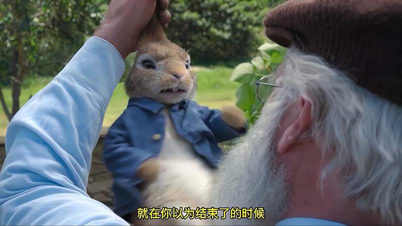 比得兔:兔子每天啥事不干,就去菜园斗智斗勇