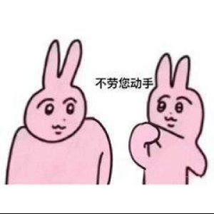 小牛赛车手 