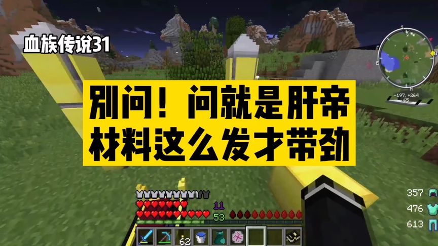 我的世界血族传说31 别问!问就是肝帝!