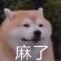 是大陈没错 