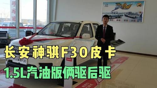 不一样的皮卡,后马槽2.02米长,可以三面开启,长安神骐F30皮卡