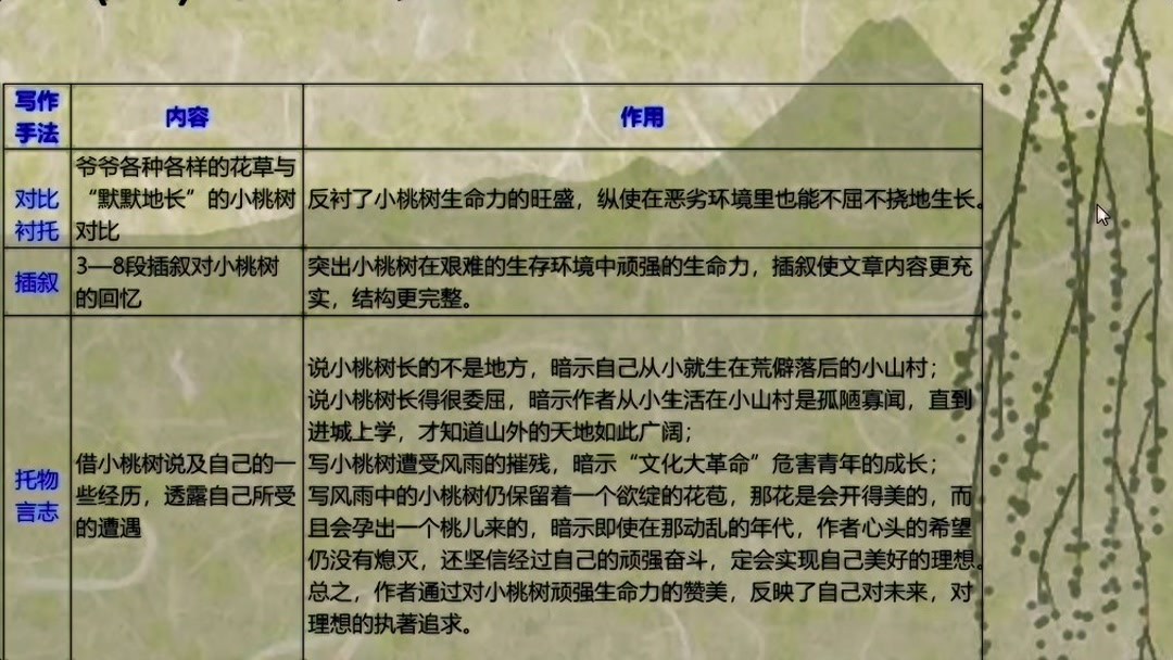 一棵小桃树 第二课时