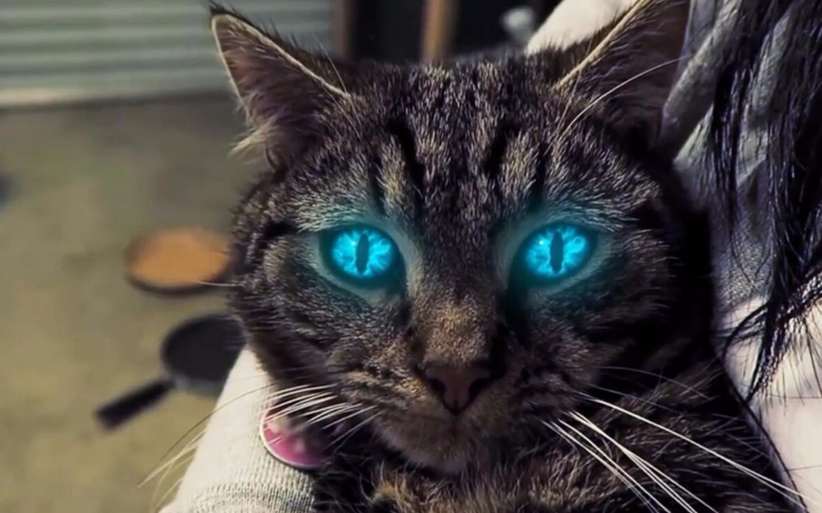 【AE教程】猫式血轮眼的制作教学