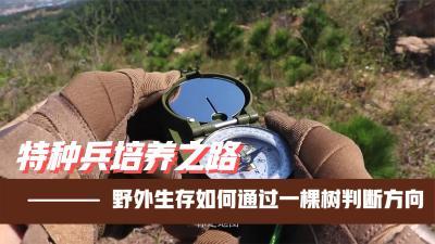 特种兵培育之路:野外生存怎样通过一棵树判定方向?