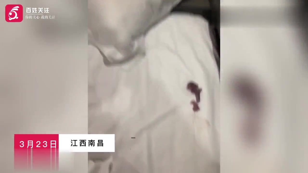 江西一顾客住酒店枕头下现一窝老鼠回应:搞过卫生未达成和解