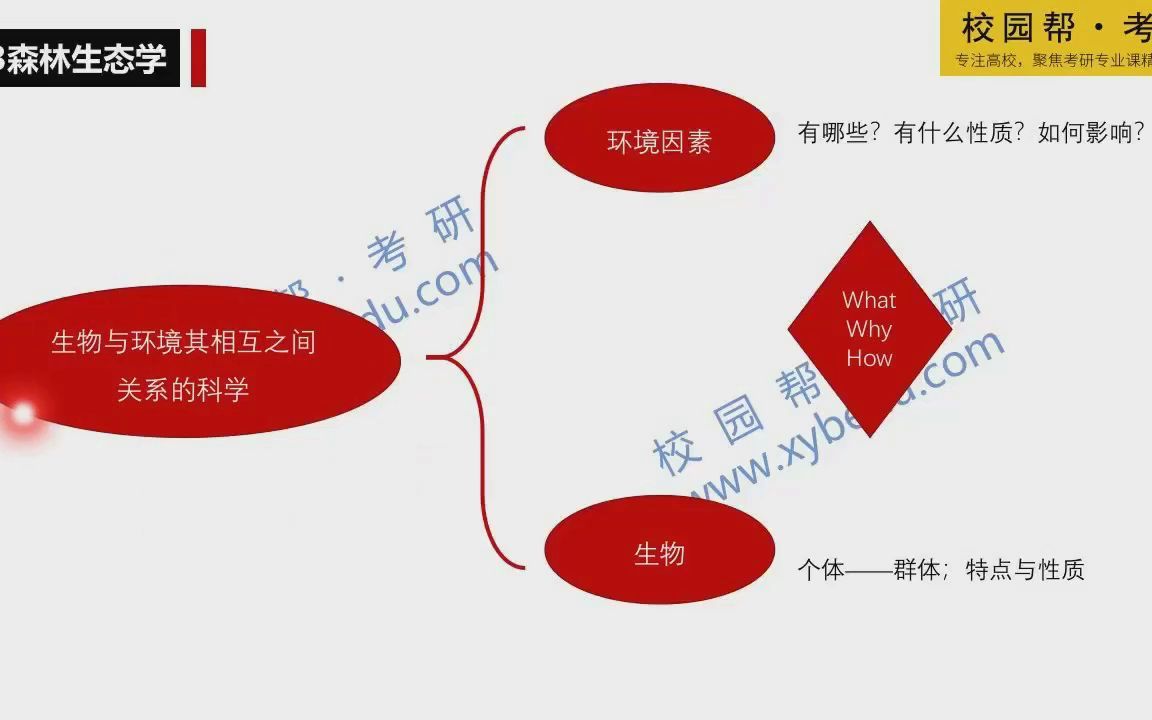 北京林业大学833森林生态学-专业课基本认识(高分学长分享考研真题/...