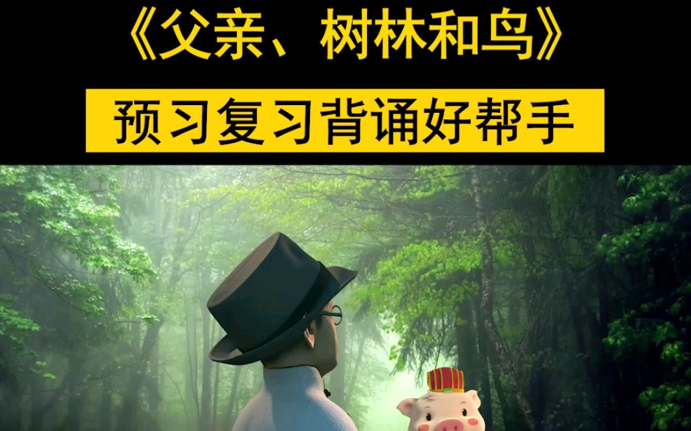 《父亲、树林和鸟》语文三年级上册同步动画视频