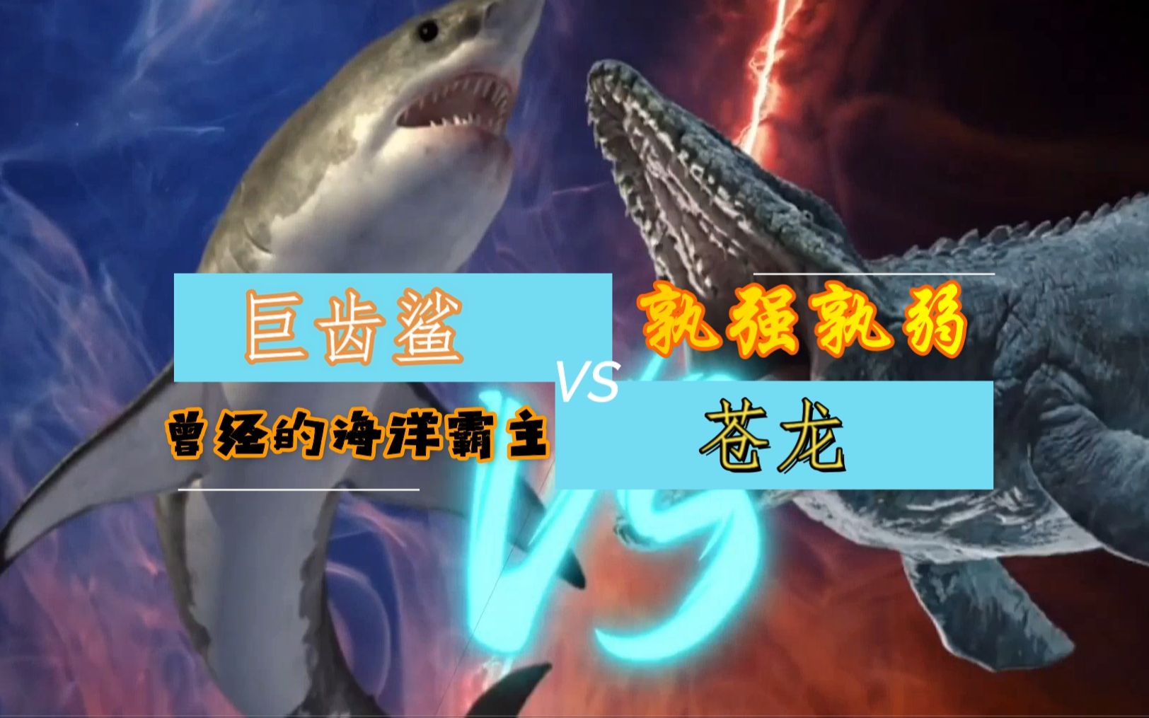 巨齿鲨VS苍龙 曾经的海洋霸主 孰强孰弱