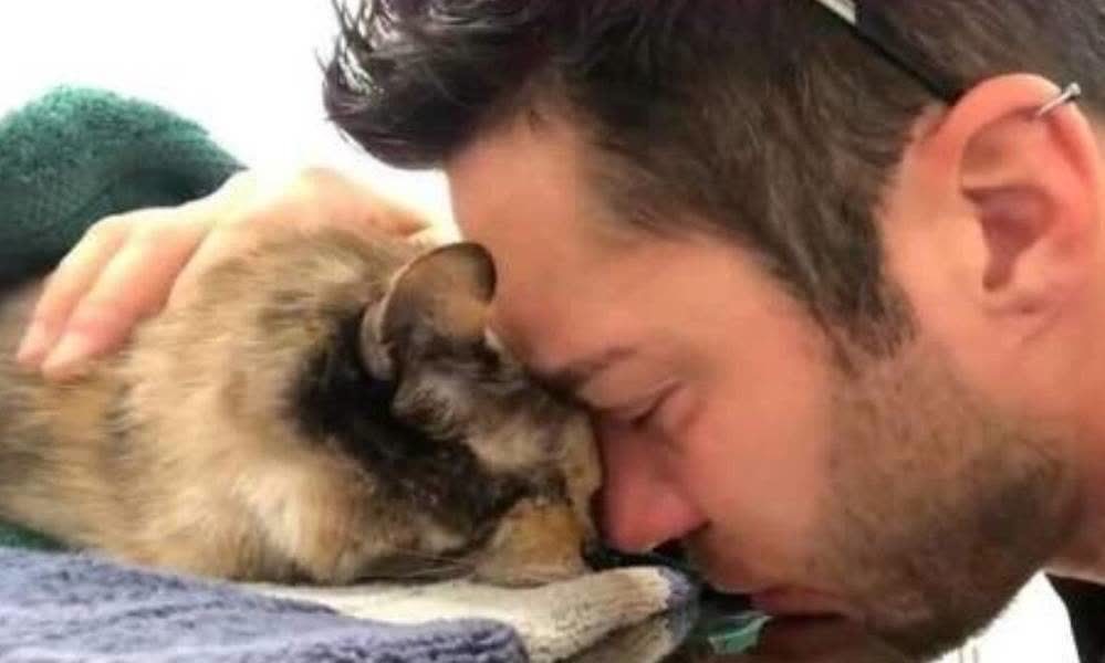 猫咪临终前和主人告别,下一秒猫咪的反应,镜头拍下全过程