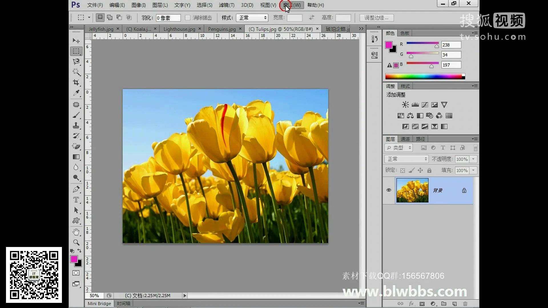 PS教程视频1 Photoshop CS6文件的基本操作部落窝_PS教程从零开始...