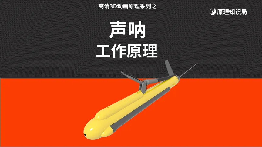 声呐是如何工作的? 高清3D动画