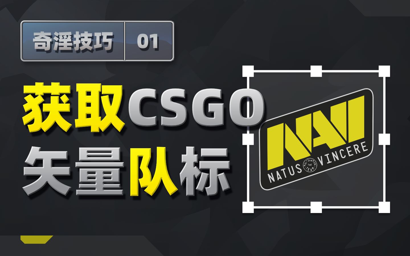 【奇技淫巧】获取CSGO战队矢量队标的4种途径