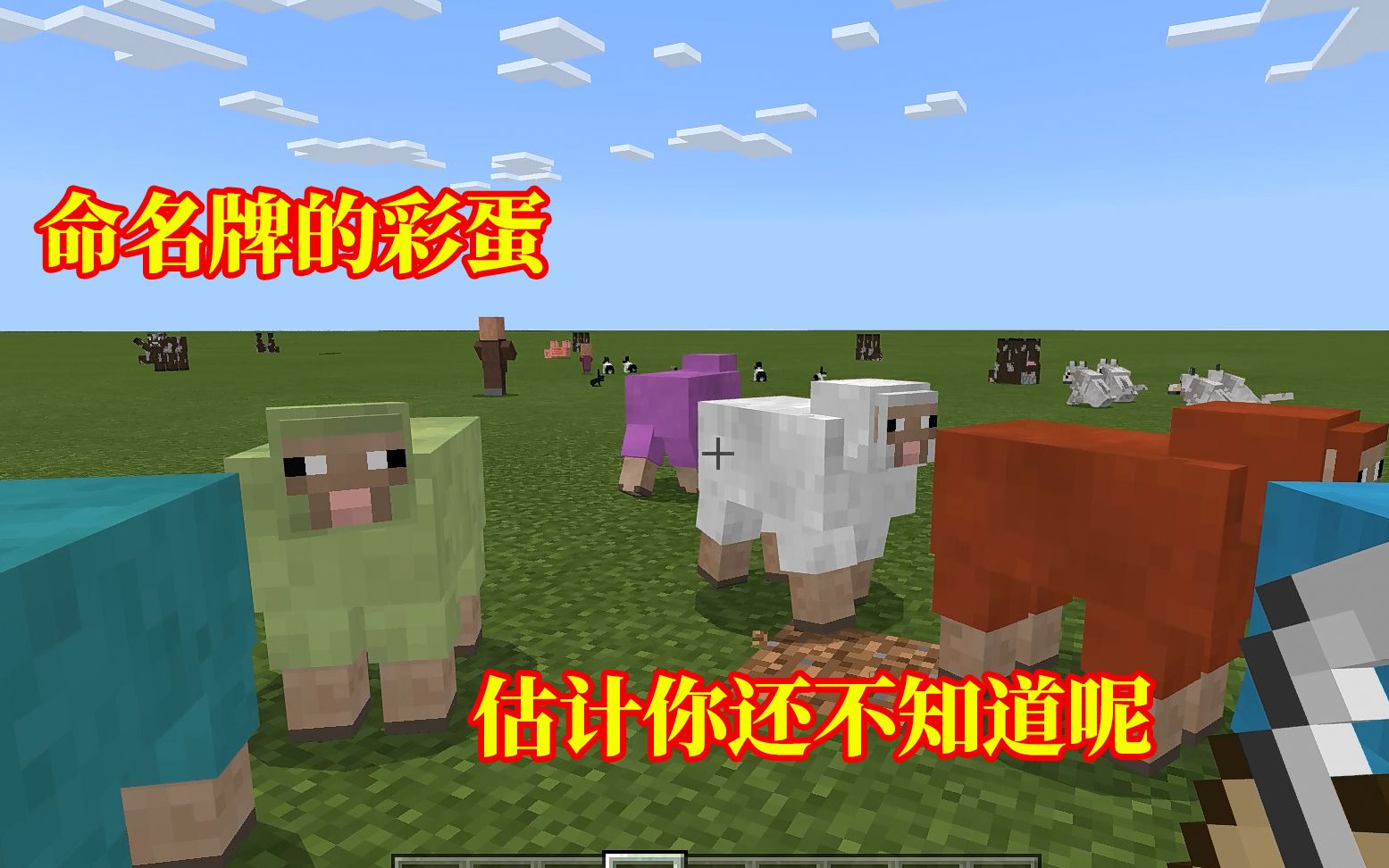 我的世界小知识07:命名牌的几个彩蛋,你知道吗?