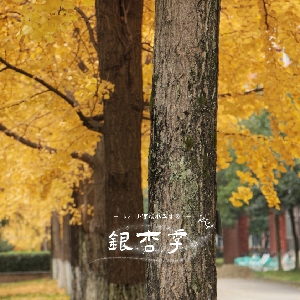 数学没学好的小河流水 