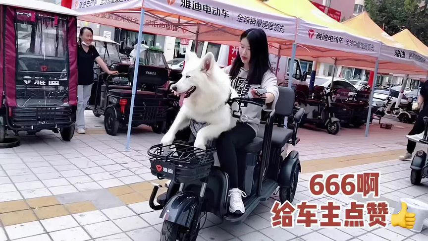 #雅迪#雅迪三轮车#雅迪电动车 雅迪给更好的自己