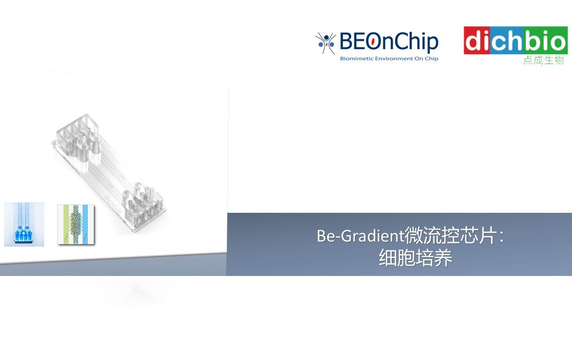 产品操作| Be-Gradient微流控芯片:细胞培养