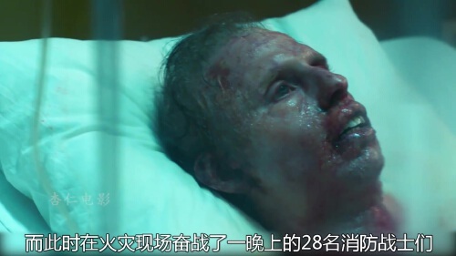 切尔诺贝利核事故,方圆百里生物无一幸免