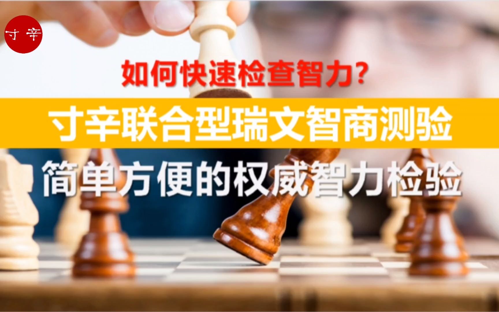 寸辛联合型瑞文智商测试:简单方便的著名智力检测