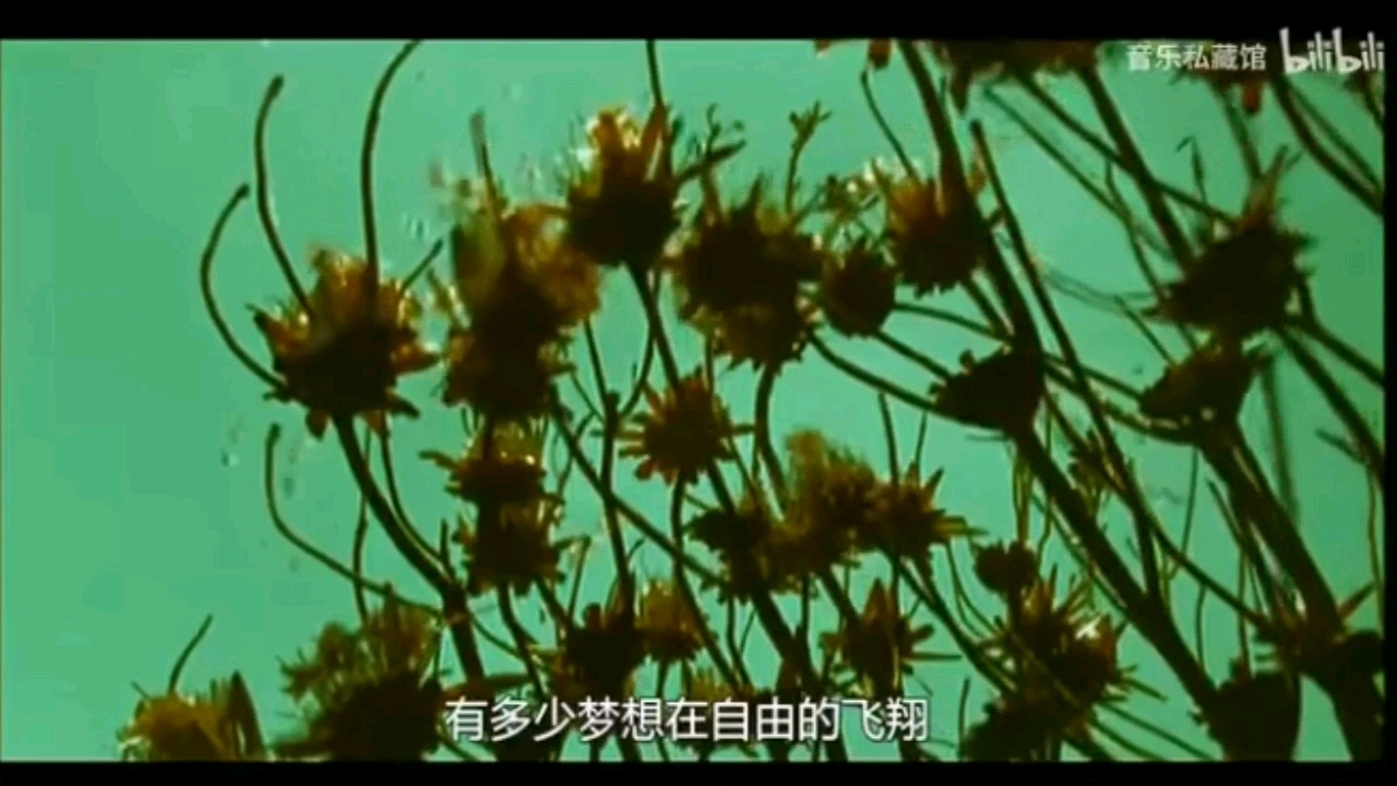 凤凰传奇19年月亮之上混剪 plus版月亮之上 纪念出道19年,相识25年