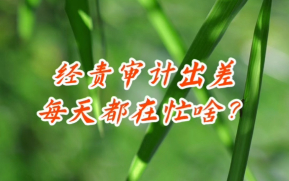 出差一周,审计都在忙啥?