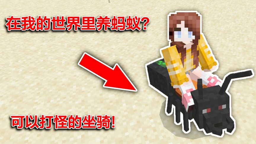 我的世界:在我的世界里养蚂蚁?不但可以帮打怪,还可以当坐骑!