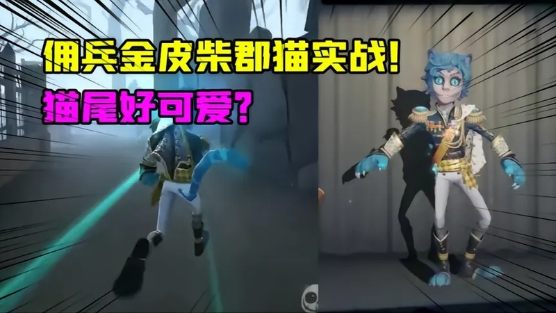 第五人格:佣兵金皮柴郡猫实战效果!这猫尾真可爱,还送随从