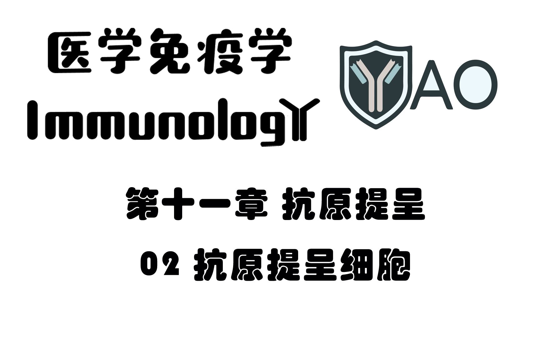 医学免疫学 第十一章_02 抗原提呈细胞