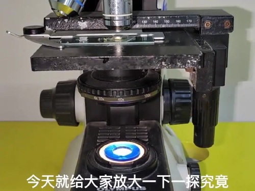 在显微镜之中,探索神秘微观世界的未知与惊奇